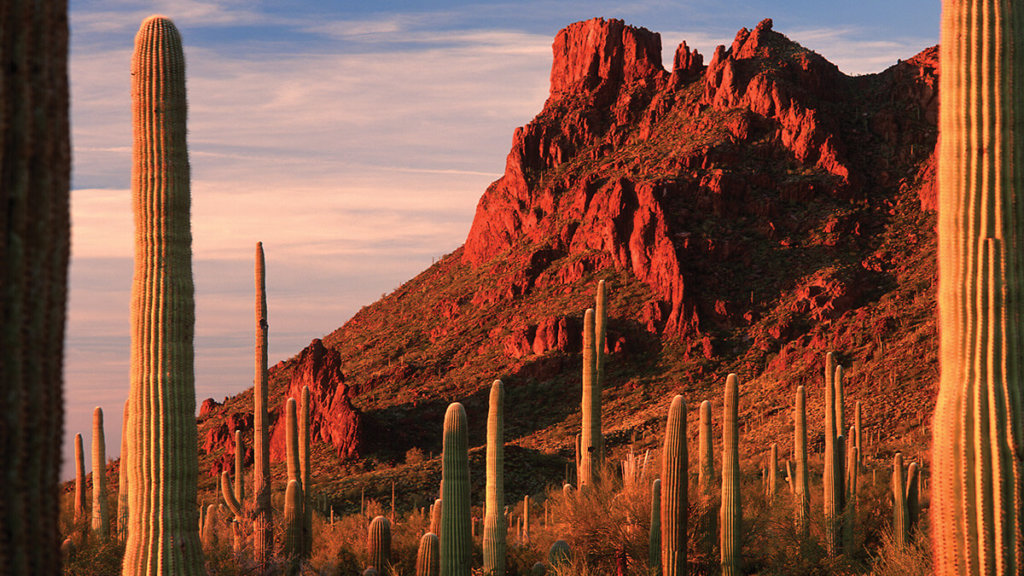 Robson Ranch Arizona - Robson Resort Communities - Luxury 55+ Active ...