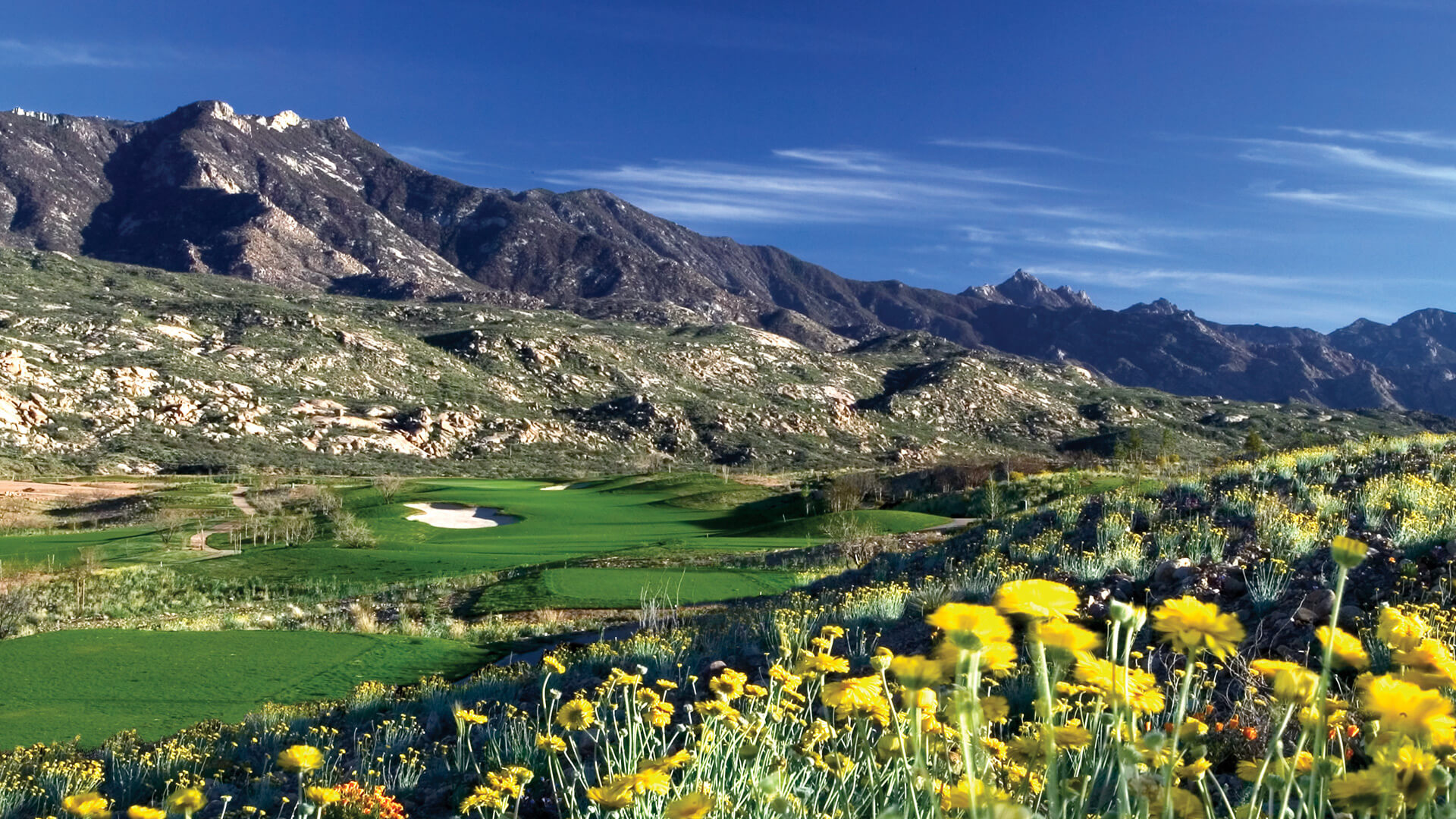 The Preserve at SaddleBrooke - Robson Resort Communities - Luxury 55 ...