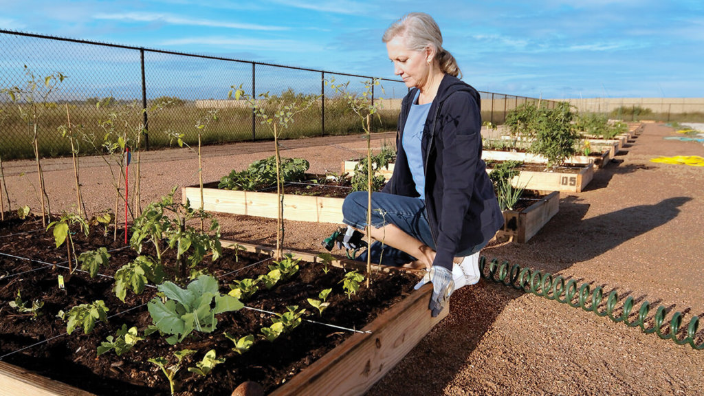 Robson Ranch Texas – Robson Resort Communities – Luxury 55+ Active ...